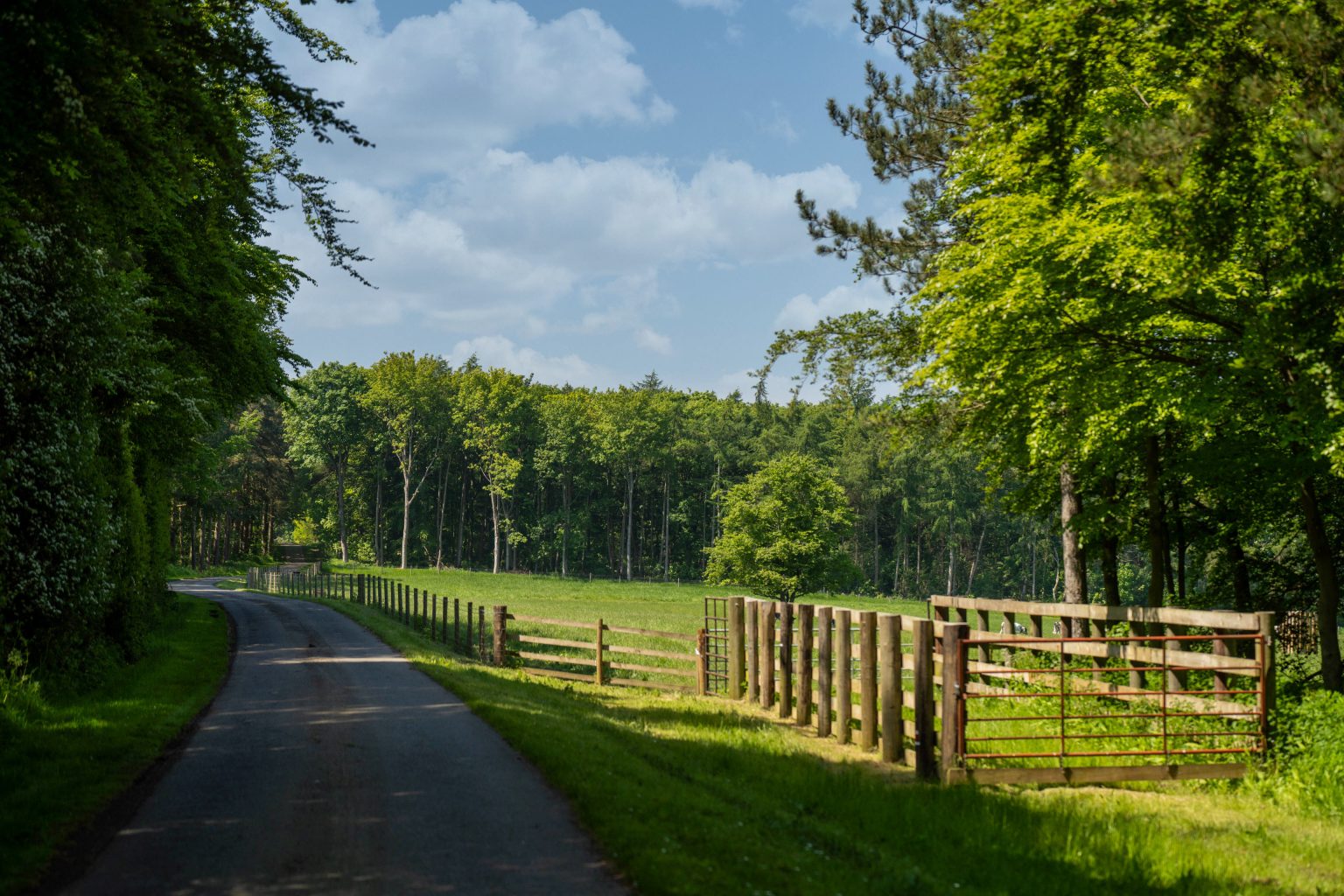 Lambton Park opens the doors to a new showhome | Portfolio North