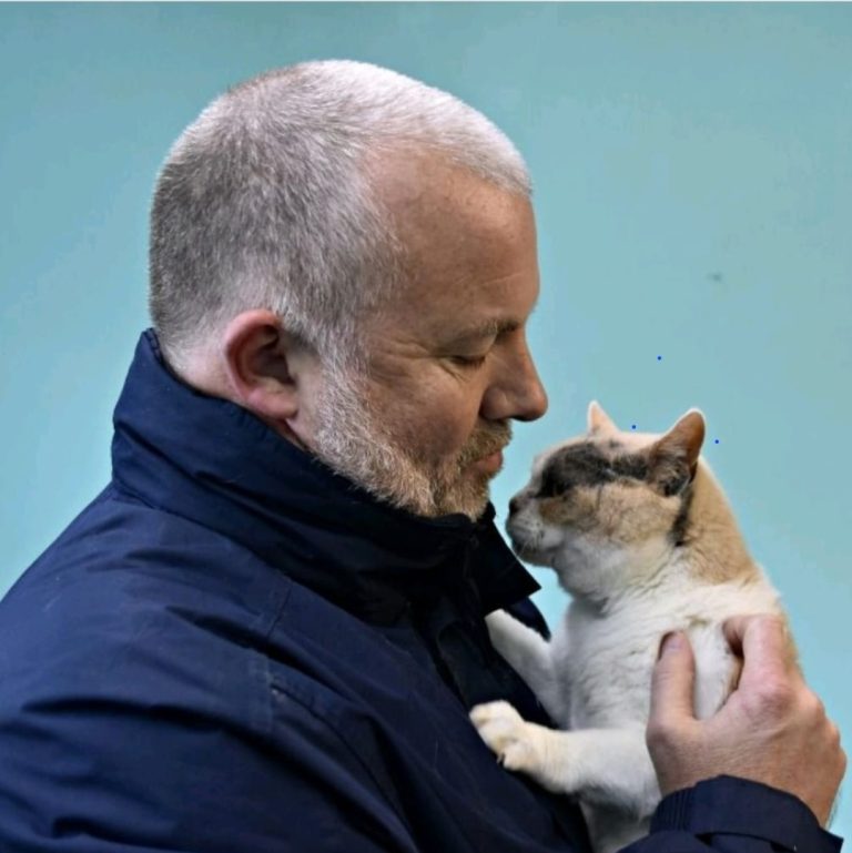Animal Lottery Foundation Launches to Transform Fundraising for Animal ...